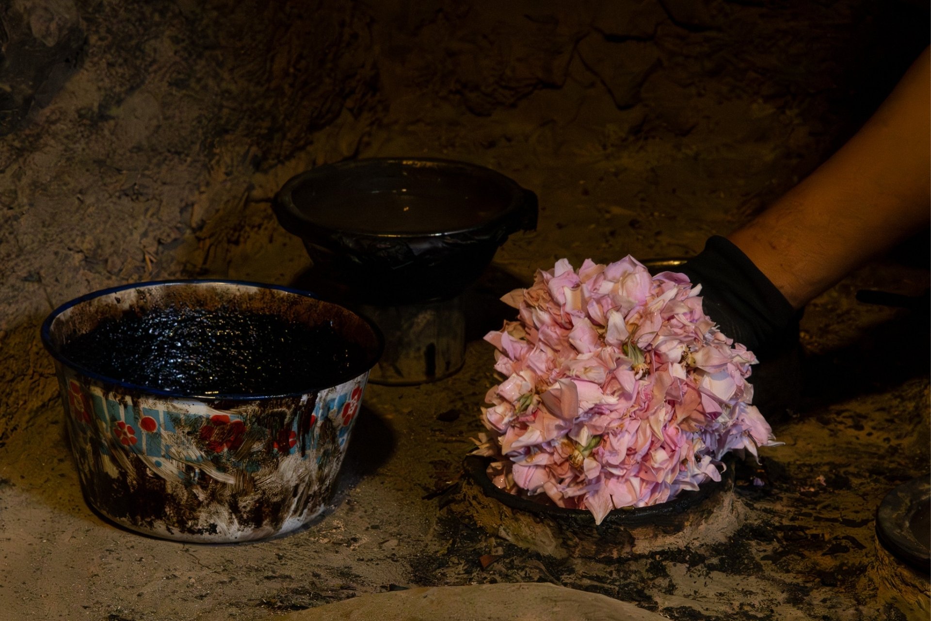 The Magic of Rose Season in Jabal Akhdar, Oman