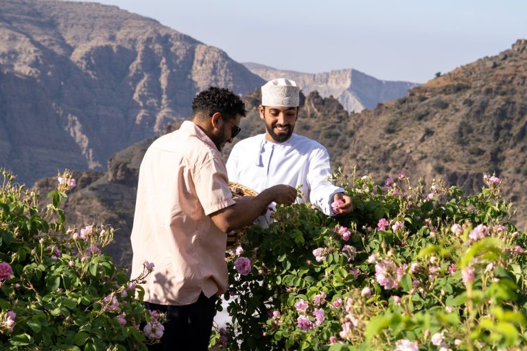 The Magic of Rose Season in Jabal Akhdar, Oman
